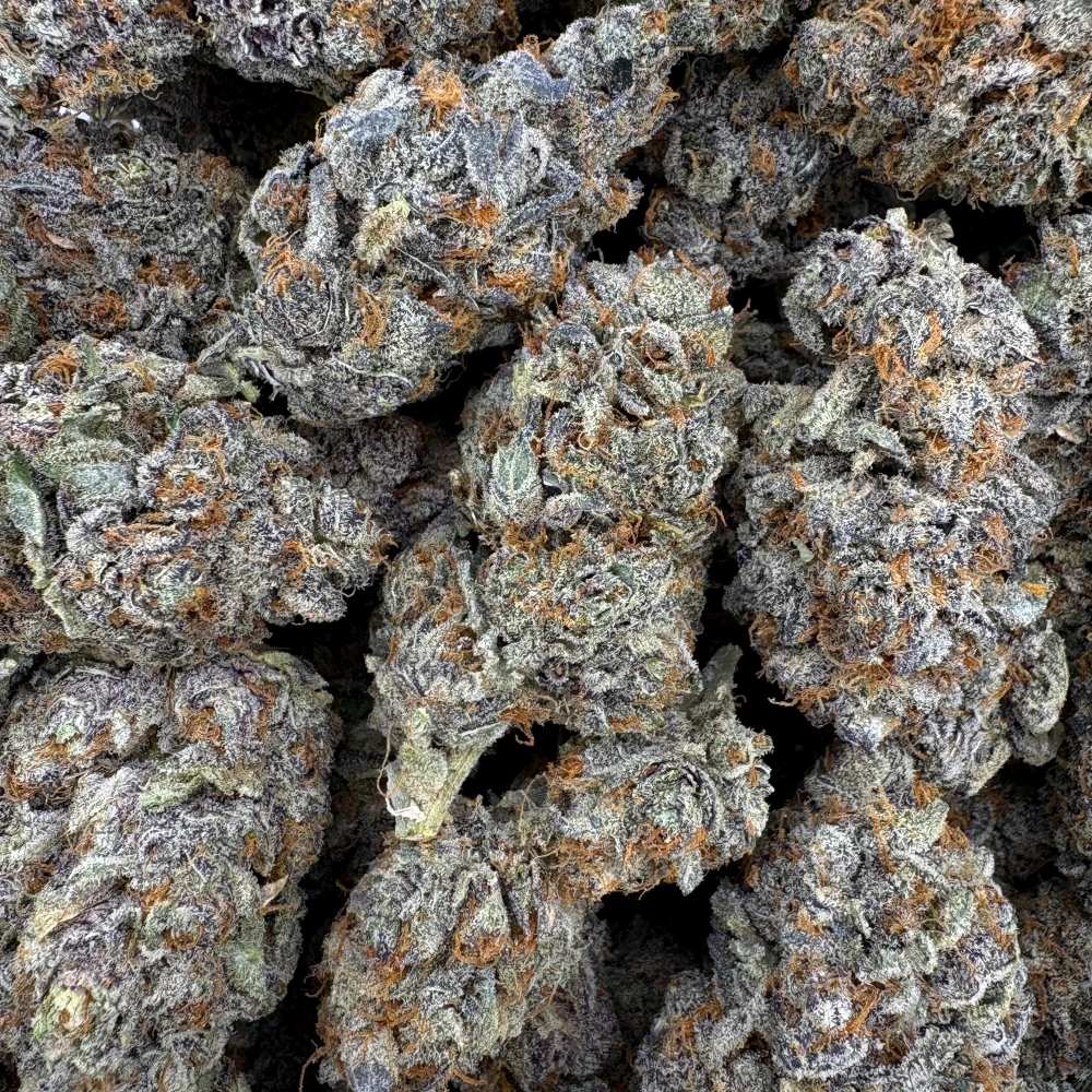 Peanut Butter Rockstar *BULK* | The Herb Centre