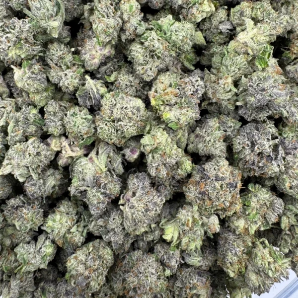 Astro Pink Popcorn | The Herb Centre