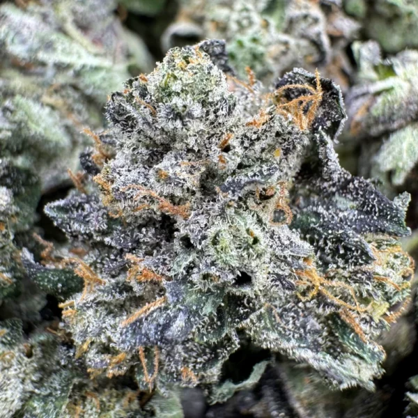 Shop Cannabis & Marijuana Online | The Herb Centre