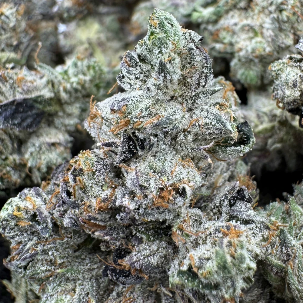 Death Reaper | The Herb Centre